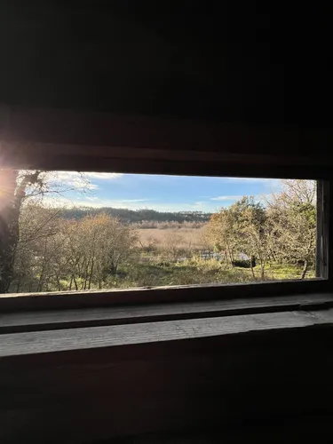Best Hikes and Trails in Reserva Natural do Paul de Arzila | AllTrails