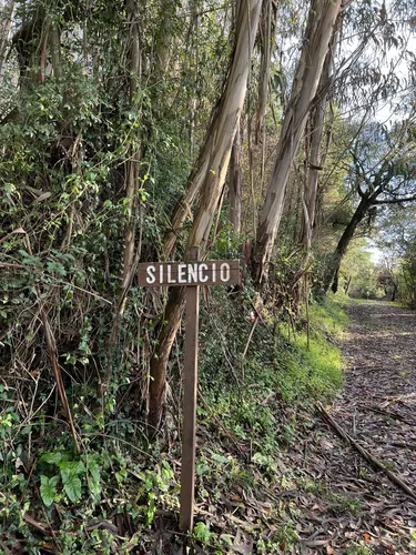 Best Hikes and Trails in Reserva Natural do Paul de Arzila | AllTrails