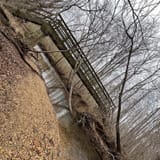 Pine Log Creek Trail, Georgia - 2,250 Reviews, Map | AllTrails