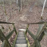 Pine Log Creek Trail, Georgia - 2,250 Reviews, Map | AllTrails