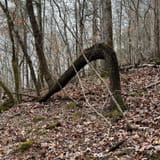 Pine Log Creek Trail, Georgia - 2,250 Reviews, Map | AllTrails