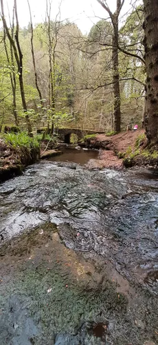 Best Hikes and Trails in Gelt Woods | AllTrails