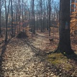Red Rock Wilderness Overlook Regional Park, Virginia - 1,050 Reviews ...