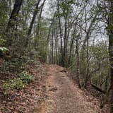 Dukes Creek Trail, Georgia - 2,960 Reviews, Map | AllTrails
