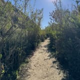 Carriage Trail, California - 1,106 Reviews, Map | AllTrails