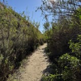 Carriage Trail, California - 1,106 Reviews, Map | AllTrails