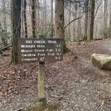 Mouse Creek Falls via Big Creek Trail, Tennessee - 2,563 Reviews, Map ...