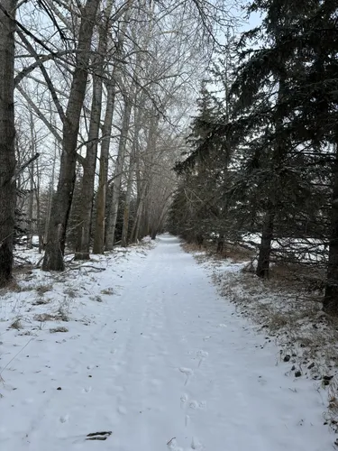 Best Hikes and Trails in Stephenfield Provincial Park | AllTrails