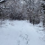 Trexler Border Trail, Pennsylvania - 2,140 Reviews, Map | AllTrails