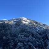 Ladybug Trail, California - 251 Reviews, Map | AllTrails