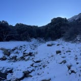 Ladybug Trail, California - 251 Reviews, Map | AllTrails