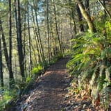 Robe Canyon Historic Trail, Washington - 908 Reviews, Map | AllTrails