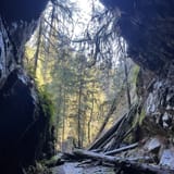 Robe Canyon Historic Trail, Washington - 908 Reviews, Map | AllTrails