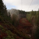 Dickerson Falls, Washington - 2,170 Reviews, Map | AllTrails