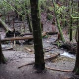 Dickerson Falls, Washington - 2,170 Reviews, Map | AllTrails
