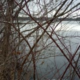 Mogadore Reservoir via Buckeye Trail, Ohio - 499 Reviews, Map | AllTrails