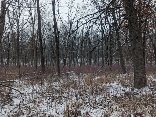 Best Hikes and Trails in Marengo Ridge Conservation Area | AllTrails