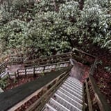 Sky Bridge Trail, Kentucky - 2,187 Reviews, Map | AllTrails