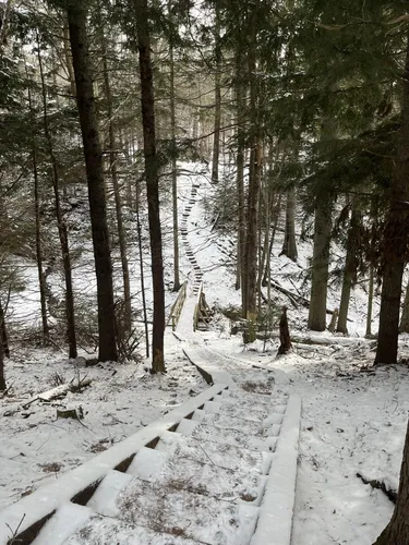 Best Hikes and Trails in Bonshaw Provincial Park | AllTrails