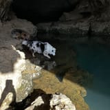 Cave Spring Loop Trail, Missouri - 371 Reviews, Map | AllTrails