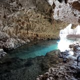 Cave Spring Loop Trail, Missouri - 371 Reviews, Map | AllTrails
