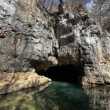 Cave Spring Loop Trail, Missouri - 371 Reviews, Map | AllTrails