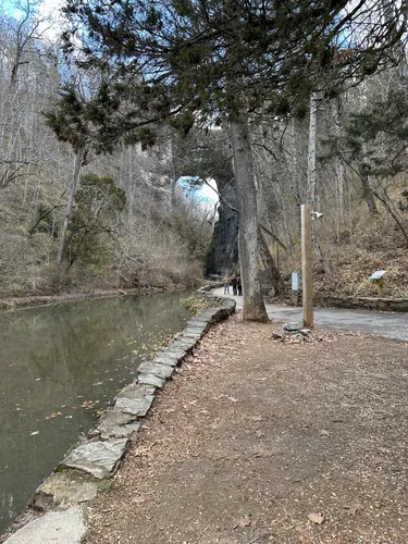 Best Hikes and Trails in Natural Bridge State Park | AllTrails