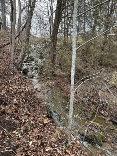 Best Hikes and Trails in Natural Bridge State Park | AllTrails