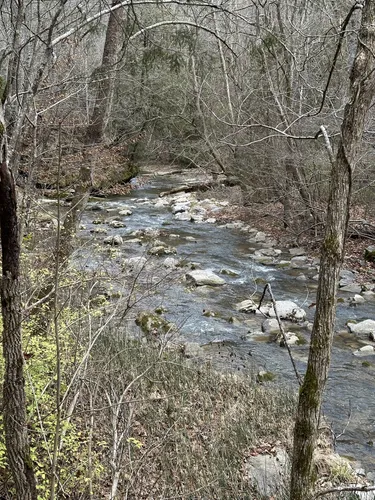 Best Hikes and Trails in Natural Bridge State Park | AllTrails
