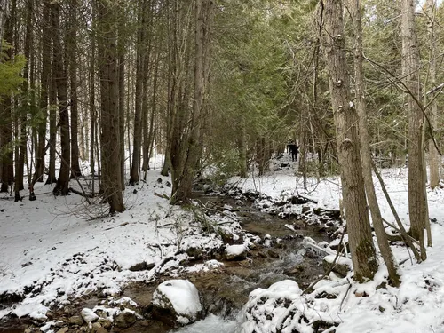 Best Lake Trails in Pretty River Valley Provincial Park | AllTrails