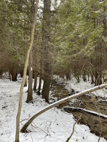 Best Lake Trails in Pretty River Valley Provincial Park | AllTrails