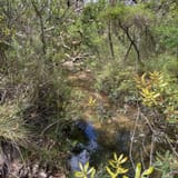 America Bay Walking Track, New South Wales, Australia - 132 Reviews ...
