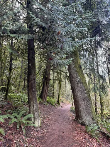 Best 10 Hiking Trails in Chehalem Ridge Natural Area | AllTrails