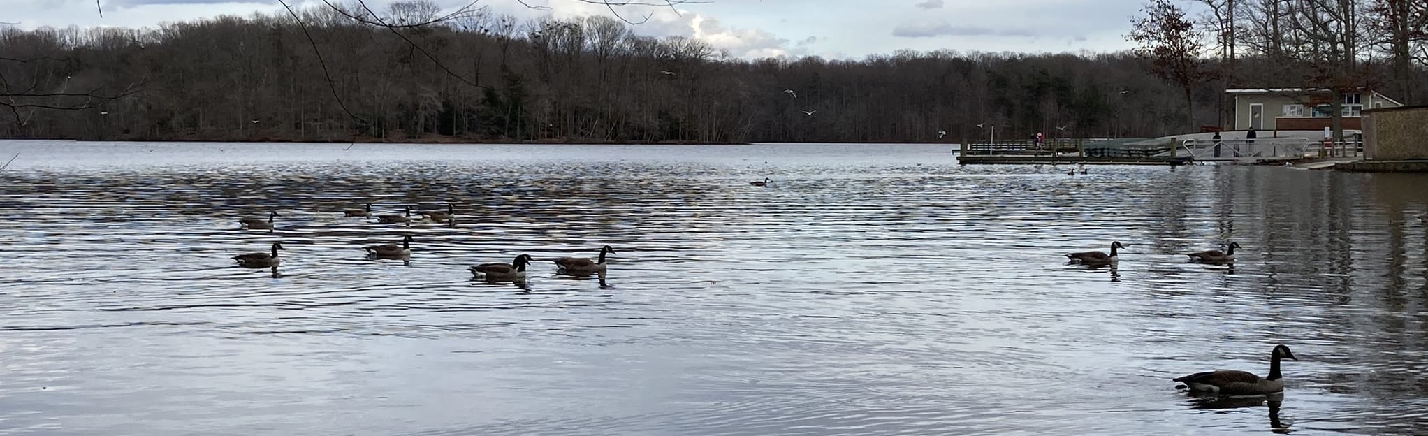 Burke Lake Trail, Virginia - 4,426 Reviews, Map | AllTrails