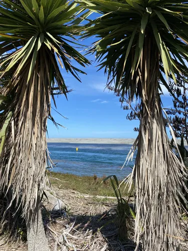 Best Camping Trails in Leeston | AllTrails