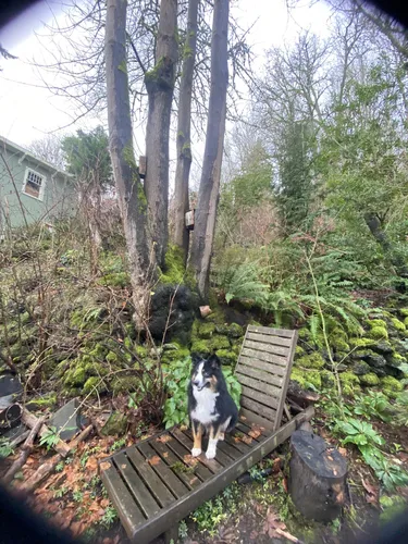 Best Hikes and Trails in Frink Park | AllTrails