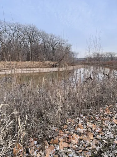 Best Hikes and Trails in Gray's Lake Park | AllTrails