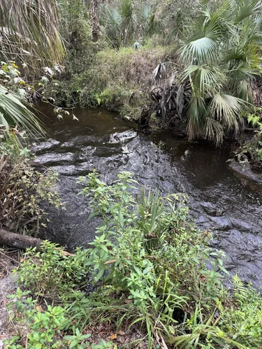 Best Hikes and Trails in Myron and Helen Gibbons Nature Preserve ...