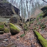 Hemlock Cliffs National Scenic Trail, Indiana - 1,138 Reviews, Map ...