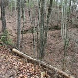 Beech Bottom Trail, Tennessee - 377 Reviews, Map | AllTrails