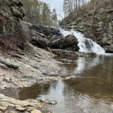 Beech Bottom Trail, Tennessee - 377 Reviews, Map | AllTrails