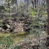 Navasota River Trail, Texas - 145 Reviews, Map | AllTrails