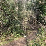 Navasota River Trail, Texas - 145 Reviews, Map | AllTrails