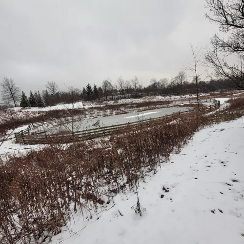 Best Hikes and Trails in Shaker Heights Park | AllTrails