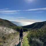 Corral Canyon Loop, California - 1,649 Reviews, Map | AllTrails