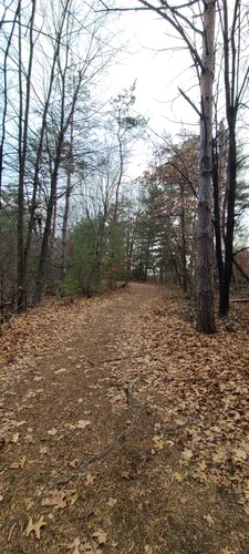 Best Hikes and Trails in Merrick State Park | AllTrails