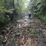 Mount 'Alava Trail, Tutuila, American Samoa - 33 Reviews, Map | AllTrails