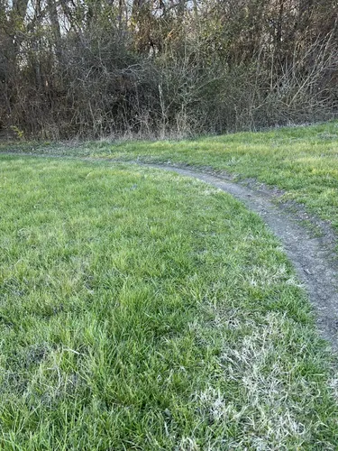 Best Hikes and Trails in Rowlett Creek Preserve | AllTrails