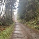 Cedar Butte Trail, Washington - 1,959 Reviews, Map | AllTrails