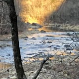 Angel Falls Trail, Tennessee - 547 Reviews, Map | AllTrails